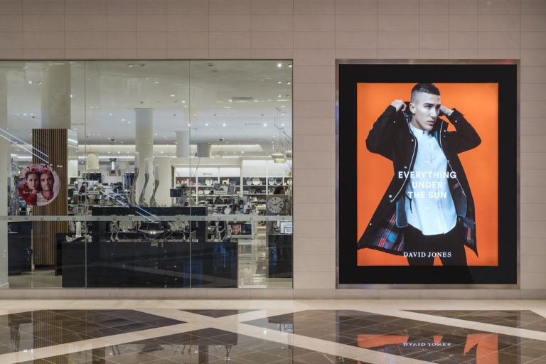 Home - Cactus Imaging